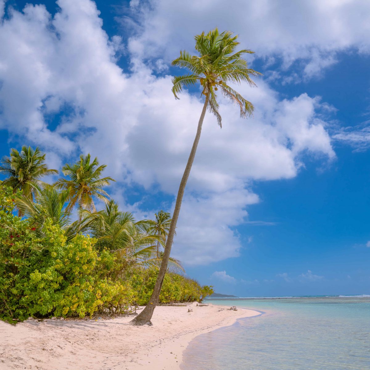 Ostrov Guadeloupe v Karibiku za 5 445 Kč - e-booking.cz